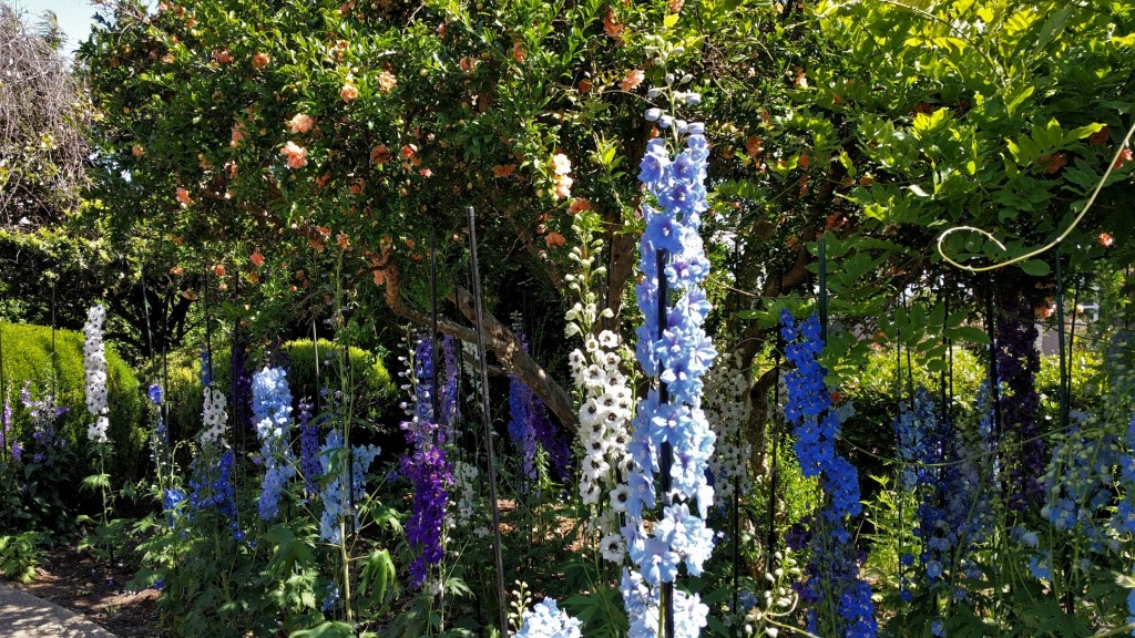 Book Review: Gerit Quealy, “Botanical Shakespeare” – South Central ...